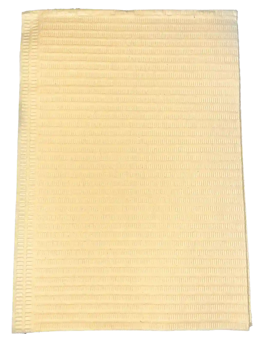 2-Ply Patient Bibs + Poly Back (Patient Towels) 500 per case