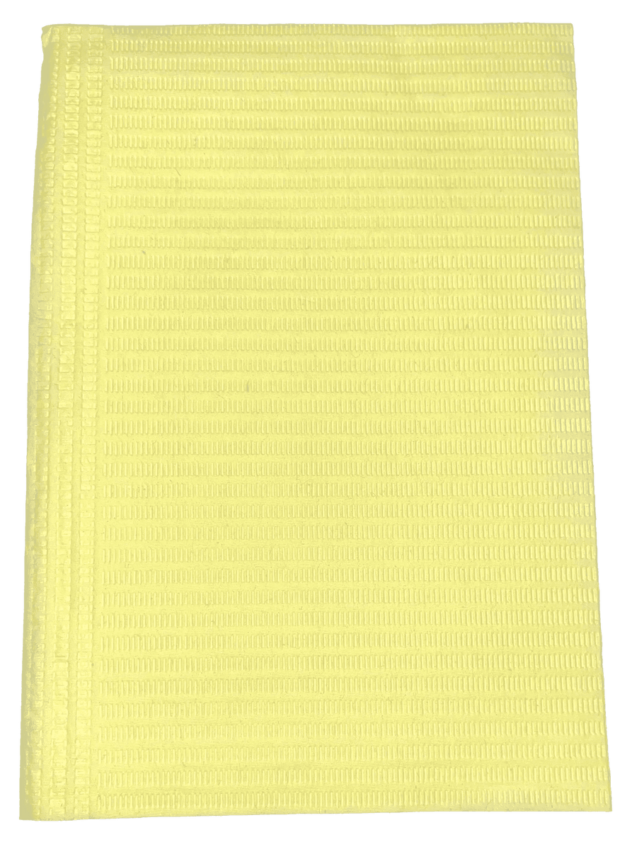 2-Ply Patient Bibs + Poly Back (Patient Towels) 500 per case